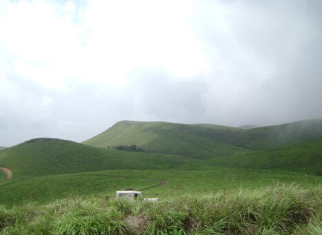 #Thekkady Tourist Places | Important Places to visit in Thekkady